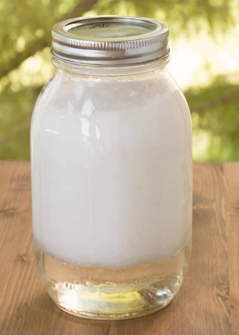 DIY Laundry Detergent Liquid: 2 Non-Toxic Borax Free Recipes - Bren Did